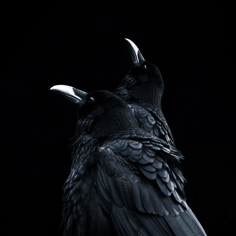 The ravens song – Lekhakbanda